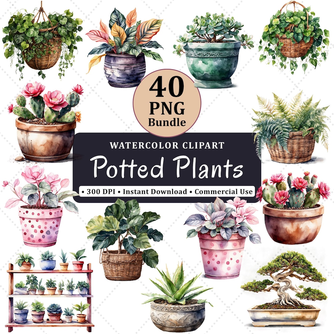 40 Watercolor Potted Plants Clipart PNG Bundle, Indoor Plants ...