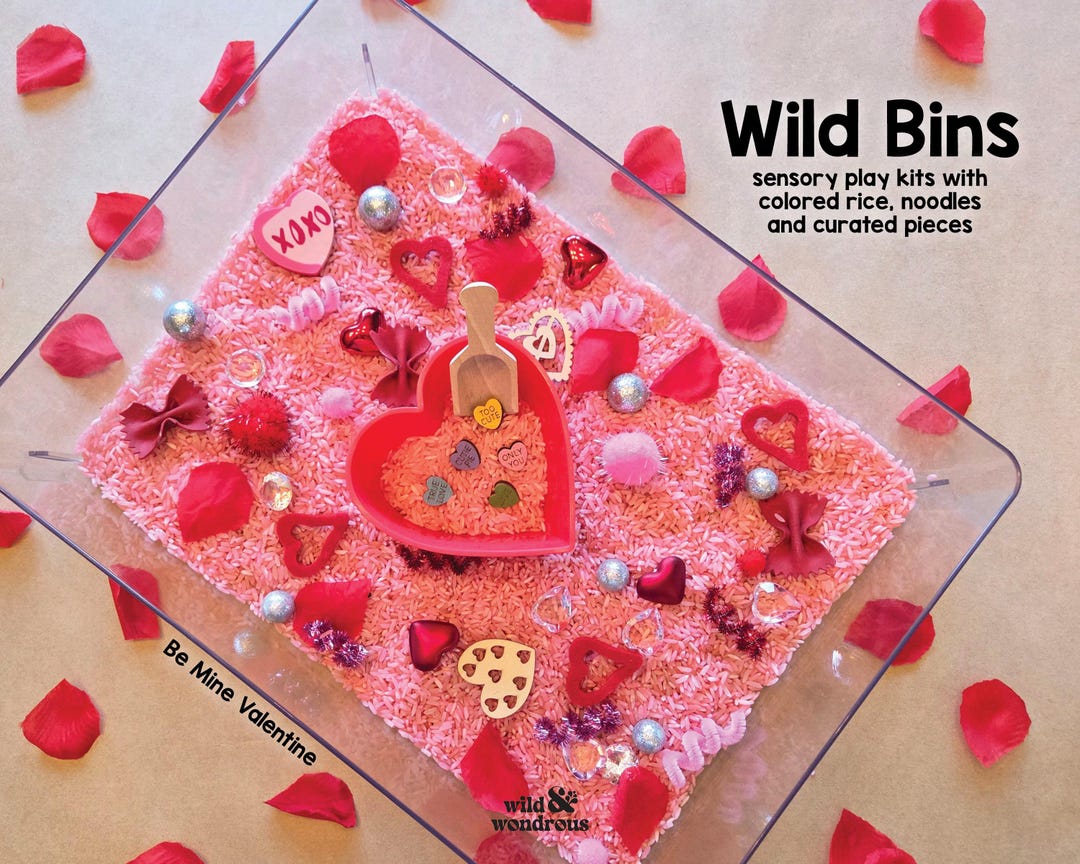 Wild Bins Sensory Play Kits - Etsy