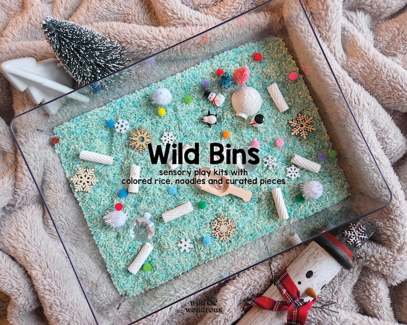 Wild Bins Sensory Play Kits - Etsy