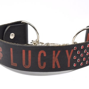 Lucky Dog Collar, Lucky Brand Dog Collar, Martingale Dog Collar. Bling ...