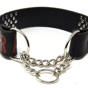 Lucky Dog Collar, Lucky Brand Dog Collar, Martingale Dog Collar. Bling ...