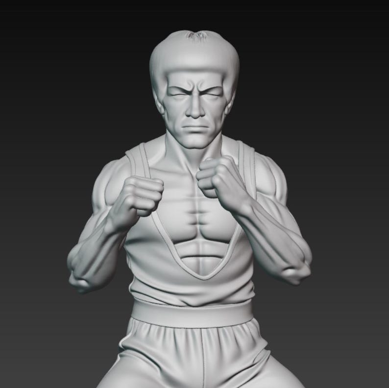 Bruce Lee 3D Model : Bruce Lee STL File , Game 3D Model , Fighter Stl ...