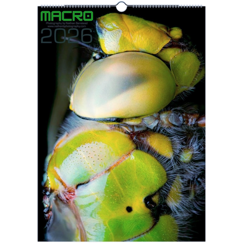 Macro Nature Calendar - Etsy UK