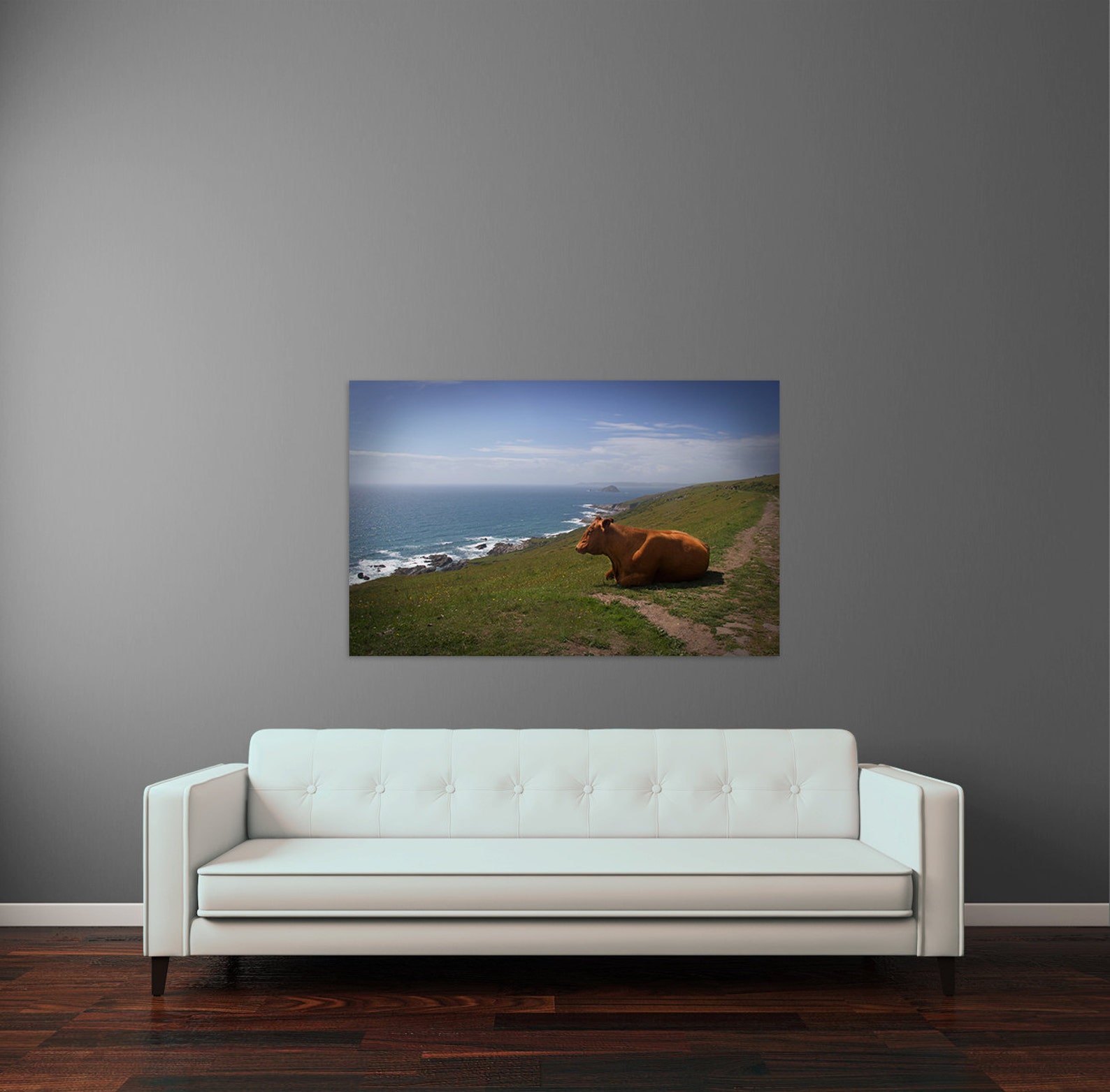 Cow Photo, Devon County Print, Cow Canvas, Cow Print, Cow Overlooking ...