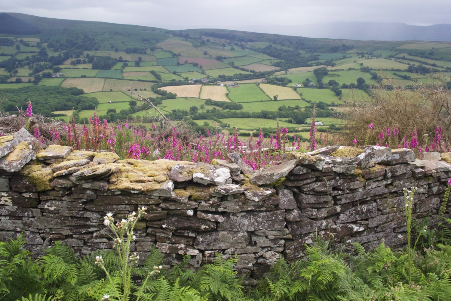 Wales Photo, Wales Print, Wales Canvas, Wales Rock Wall Photo, Wales ...