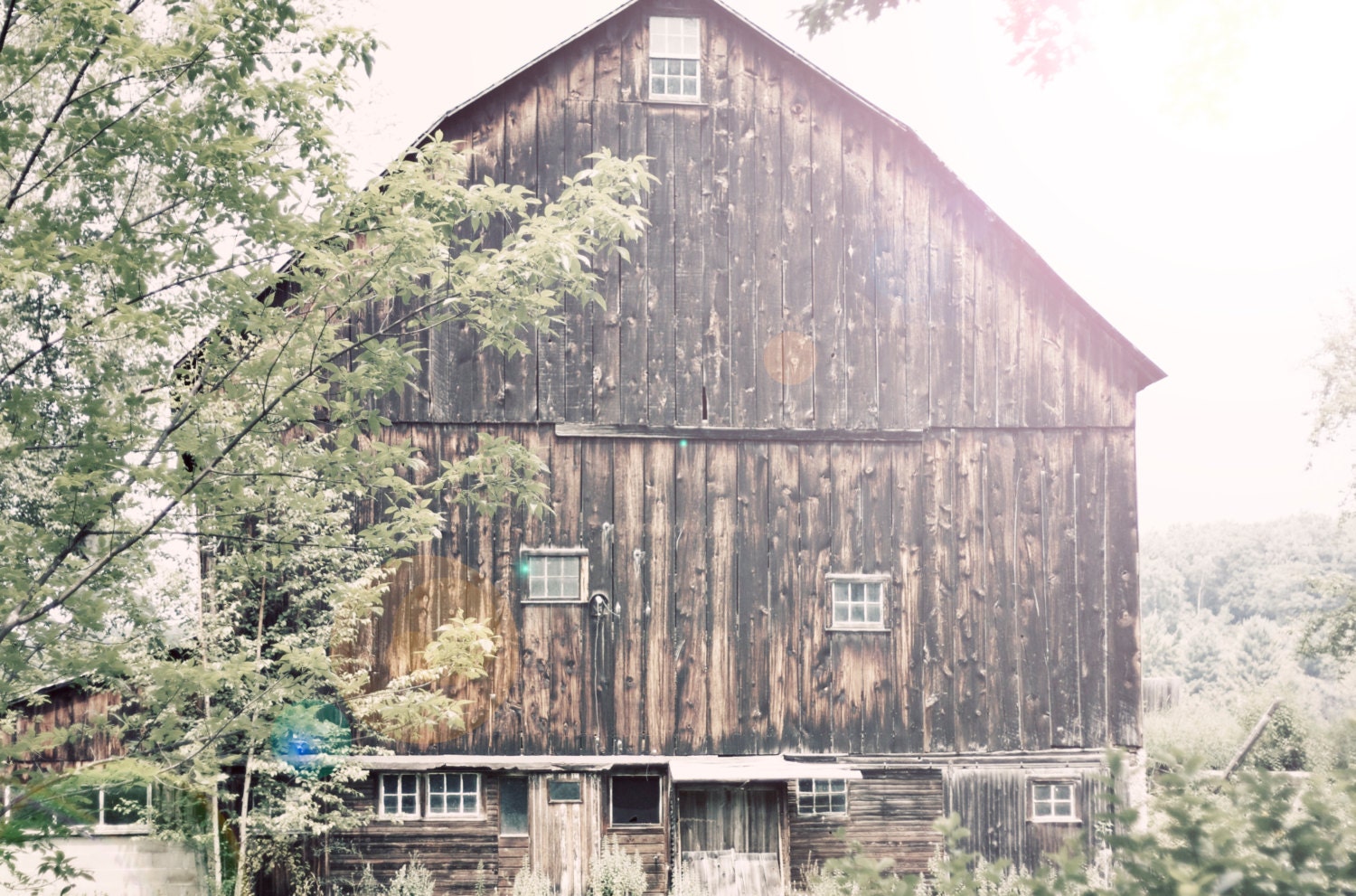 Barn Print, Barn Canvas, Barn Photo, Distressed Barn, Rustic Barn Photo ...