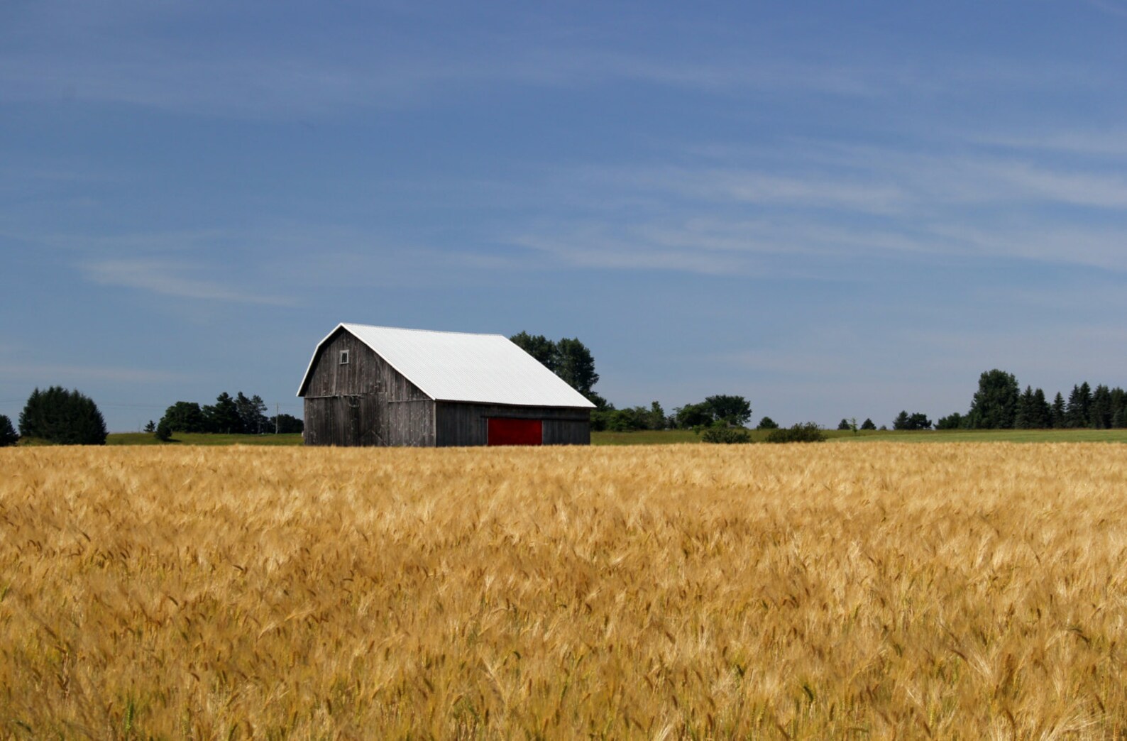 Barn in Field Photo, Barn Canvas, Barn Print, Barn Art, Rural Art ...