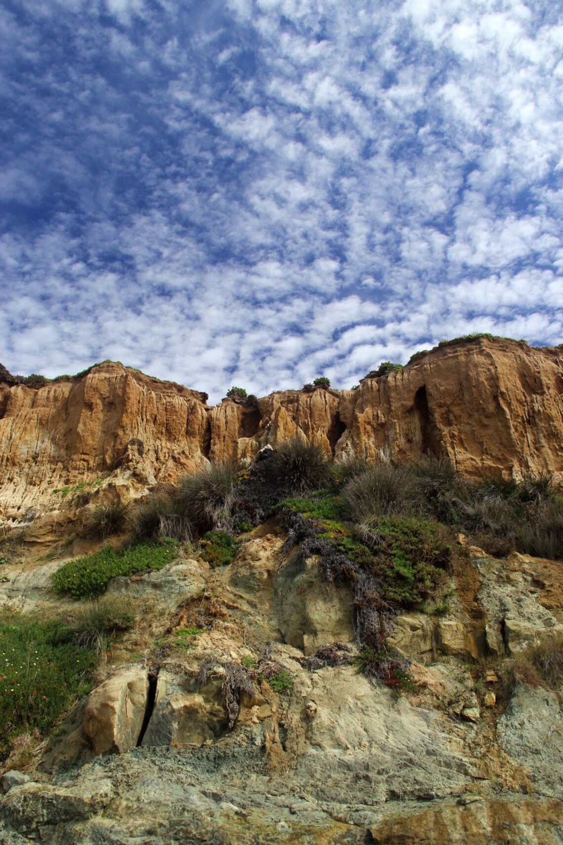 Del Mar Beach Cliffs Photo, Del Mar Photo, Del Mar Canvas, Del Mar ...