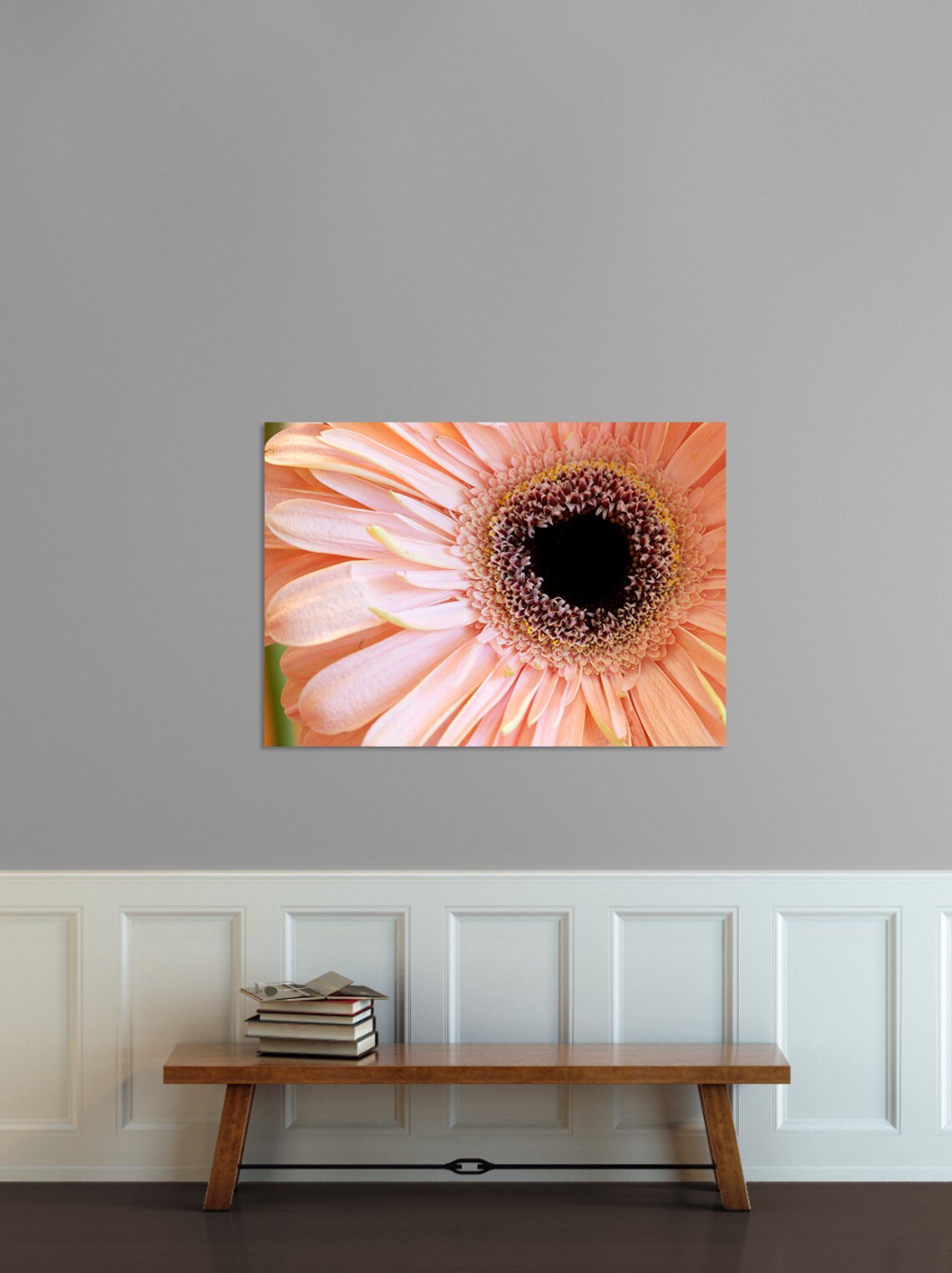 Gerbera Daisy Photo, Gerbera Daisy Canvas, Gerbera Daisy Print, Macro ...