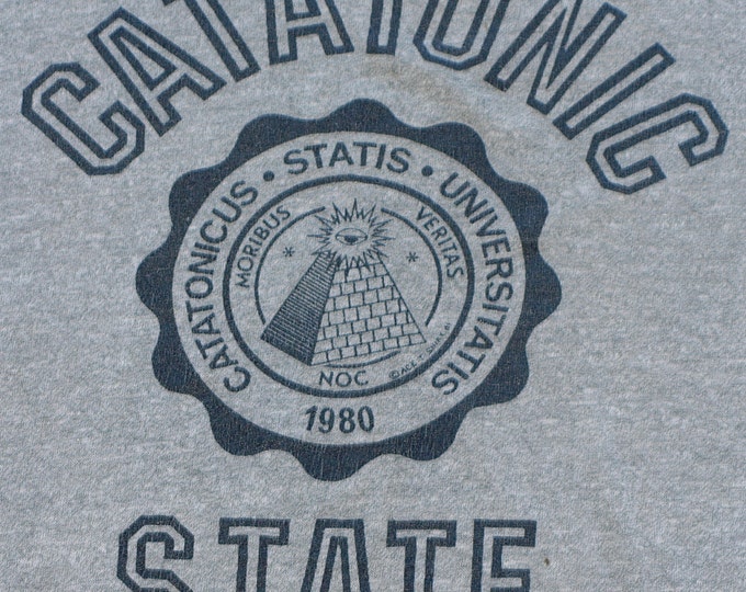 Vintage 1980 Catatonic State University Heather Grey Gray T Shirt Soft ...