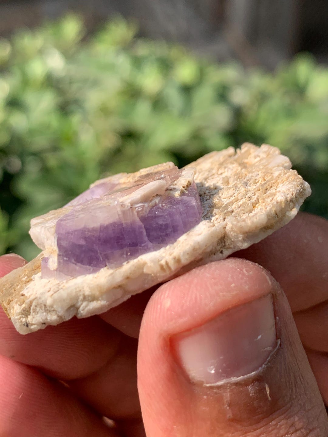 Purple Apatite on Matrix - Etsy