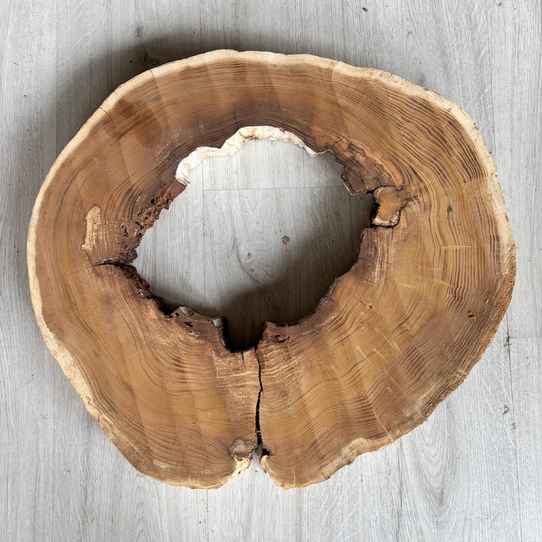 Mulberry Wood Hollow Slice Live Edge Round Slab for Resin Art Decor ...