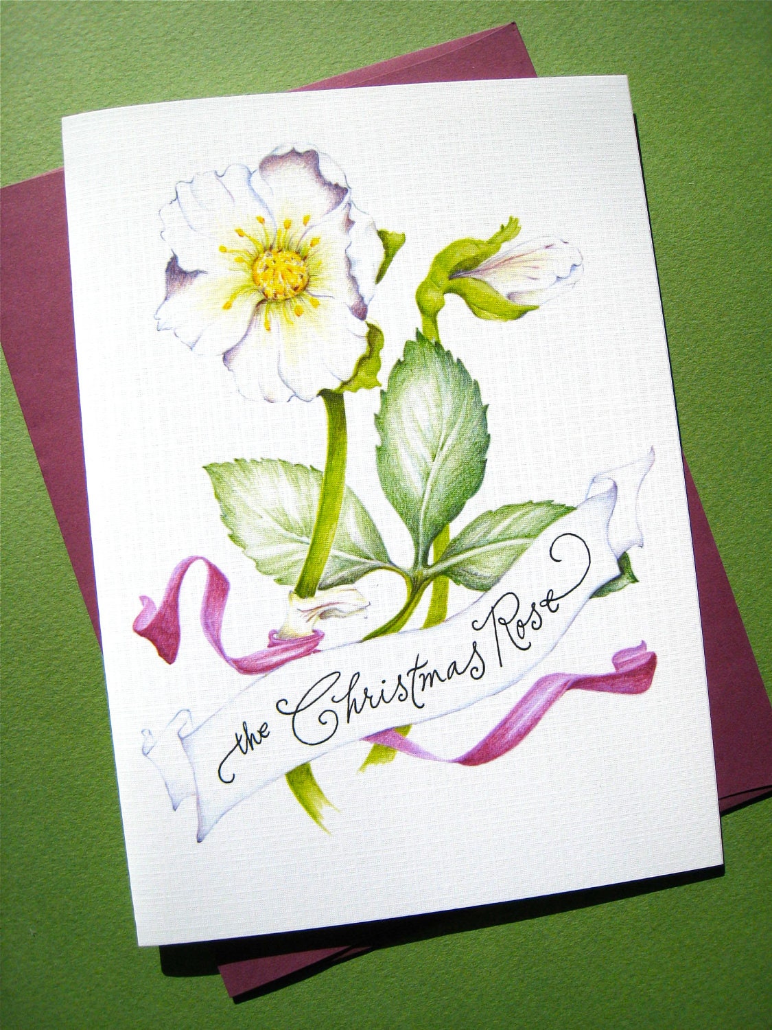 Christmas Rose Christmas Cards, Boxed Set of 10 Cards, Christmas ...