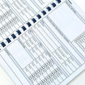 Princess Themed Childminder EYFS Daily Diary, Daily Panner, Child Care ...