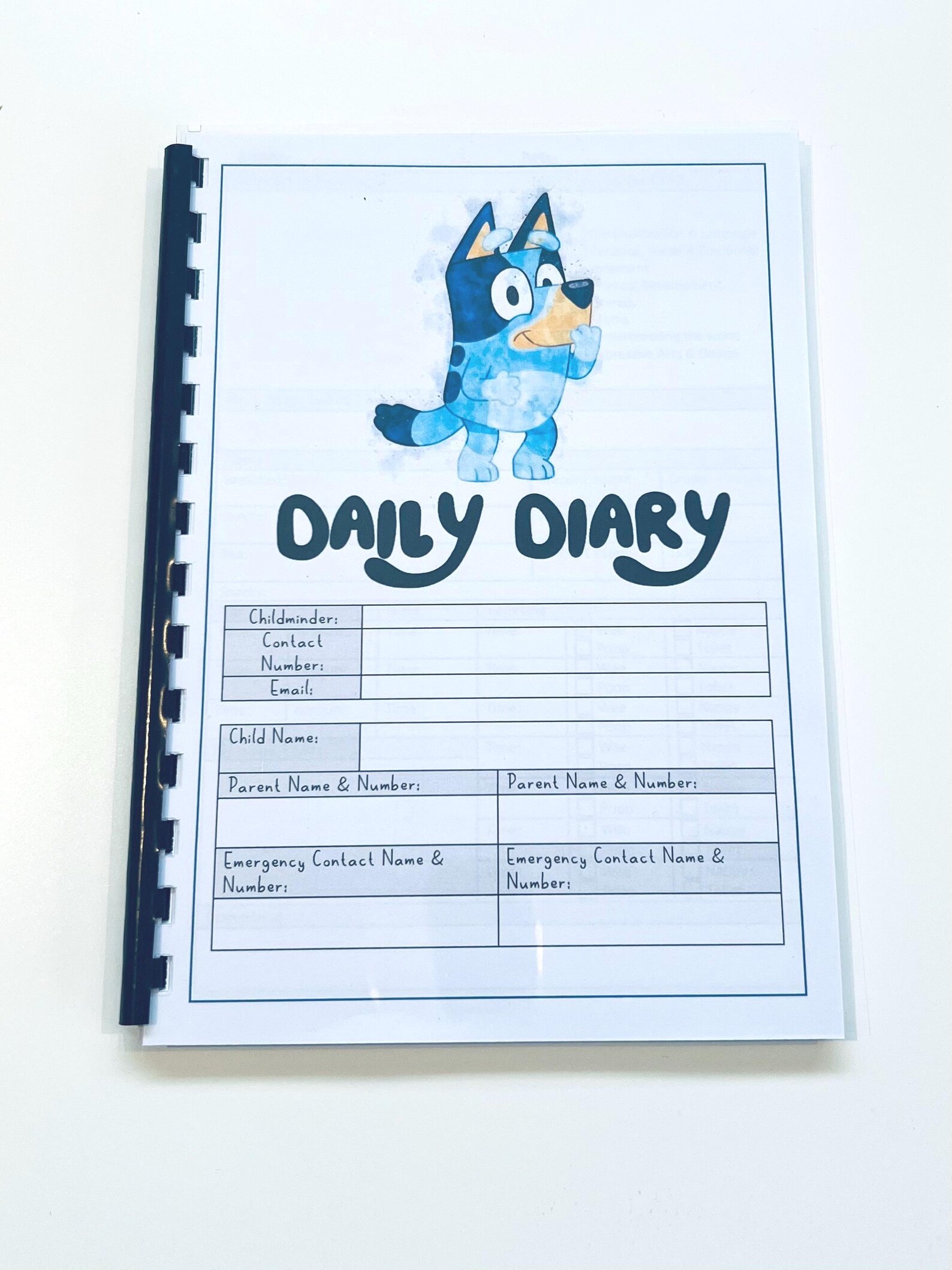 Bluey Themed Childminder EYFS Daily Diary, Daily Panner, Child Care ...