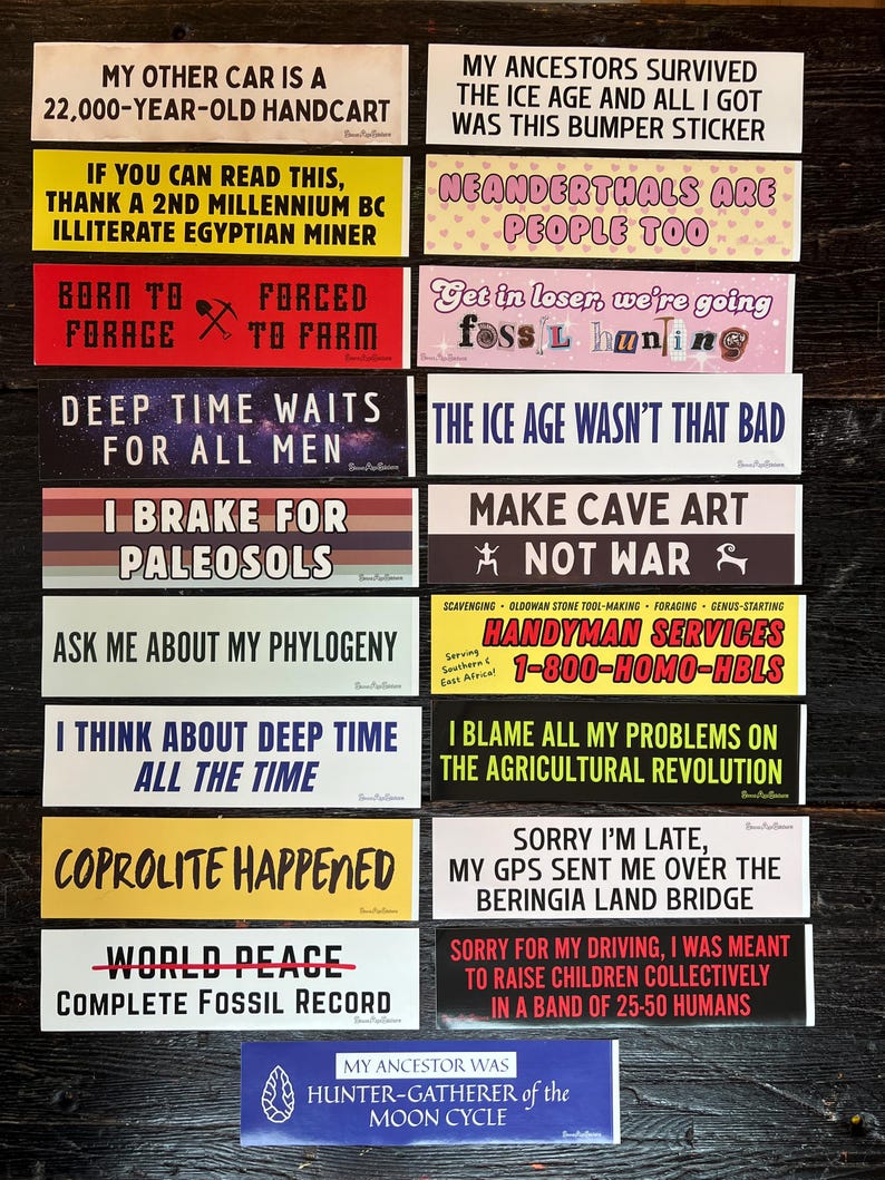 Weatherproof Bumper Sticker - Neanderthals Are People Too - Etsy