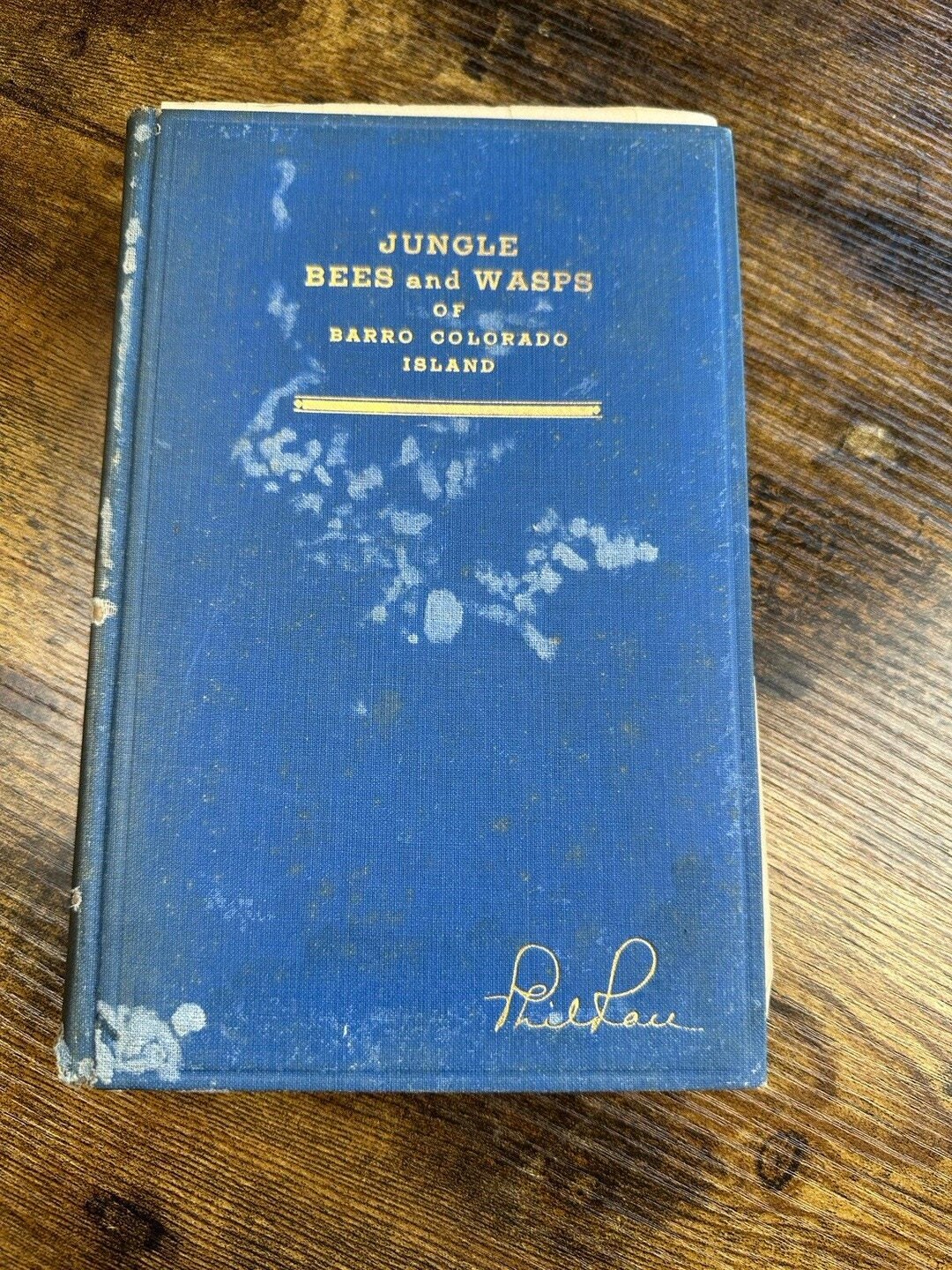 Jungle Bees and Wasps of Barro Colorado Island by Phil Rau 1933 ...