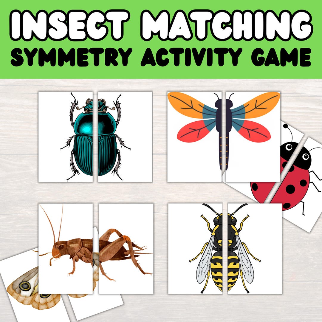 Insect Matching Activity, Matching Game, Symmetry Puzzle, Toddler ...