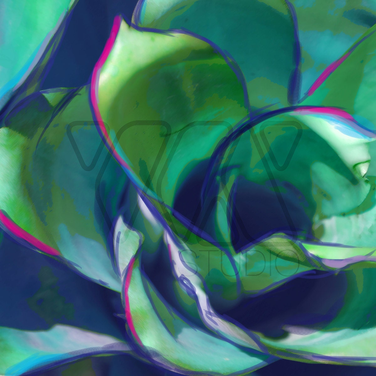 Blue Bromeliad Print - Available on Paper, Canvas, or Metal - Etsy