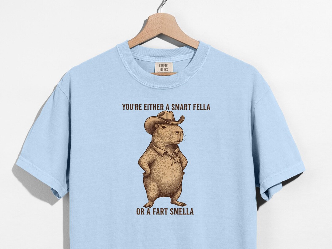 Smart Fella Tshirt, Capybara Tee, Funny 90s Meme Shirt, Vintage ...