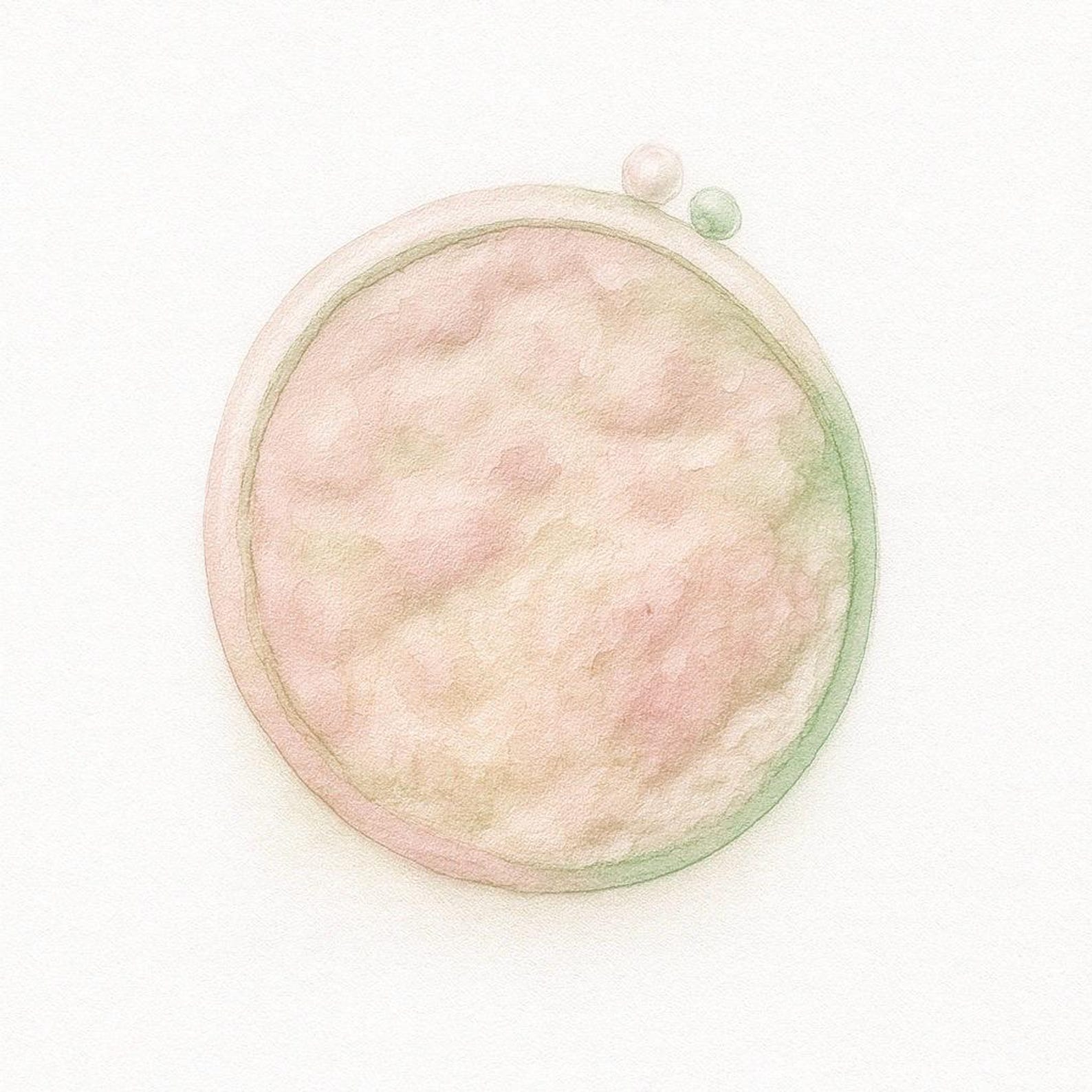 Custom IVF Embryo Watercolour Print • Personalised Embryo Portrait ...