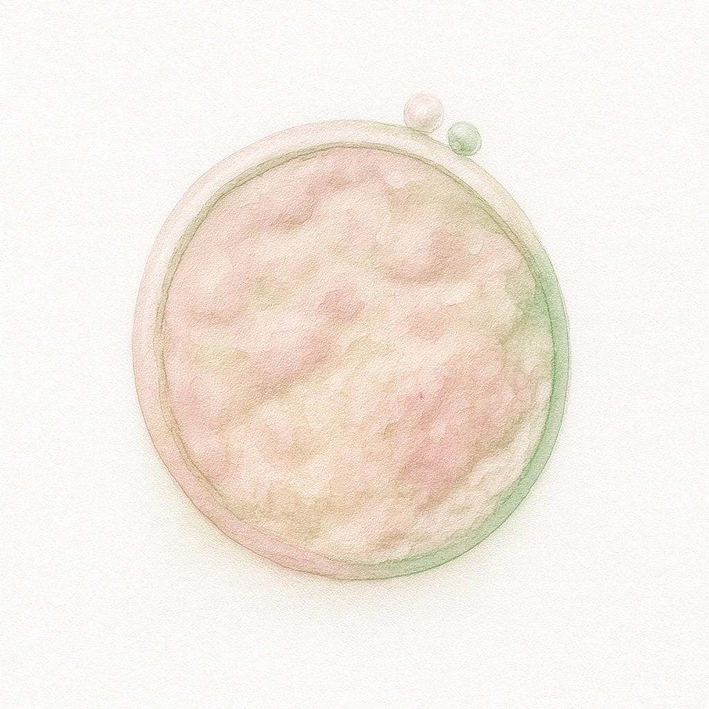Custom IVF Embryo Watercolour Print • Personalised Embryo Portrait ...