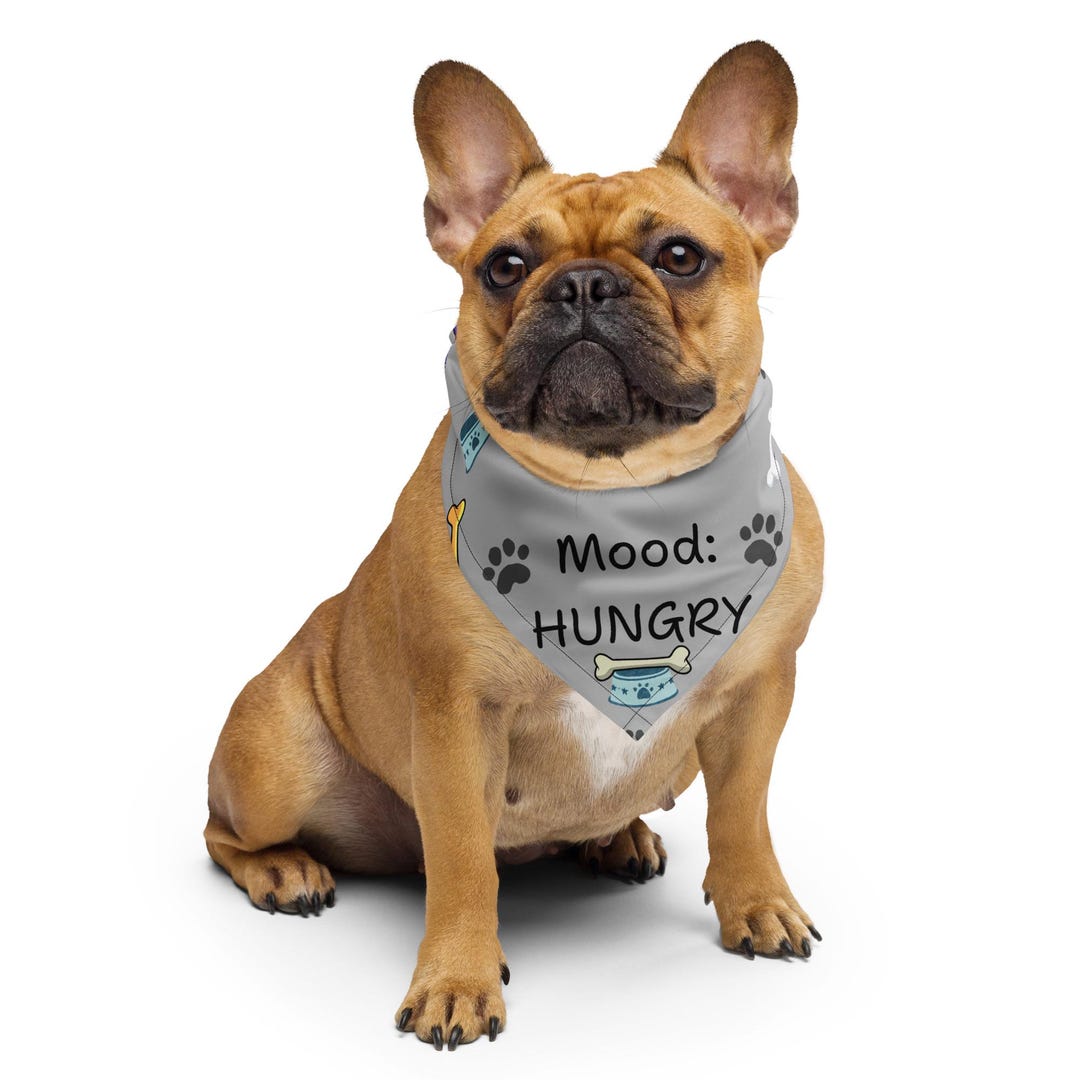 Hungry Dog Bandana • Funny Puppy Pet Accessory - Etsy