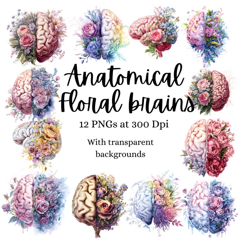 Anatomical Brain Canvas - Etsy