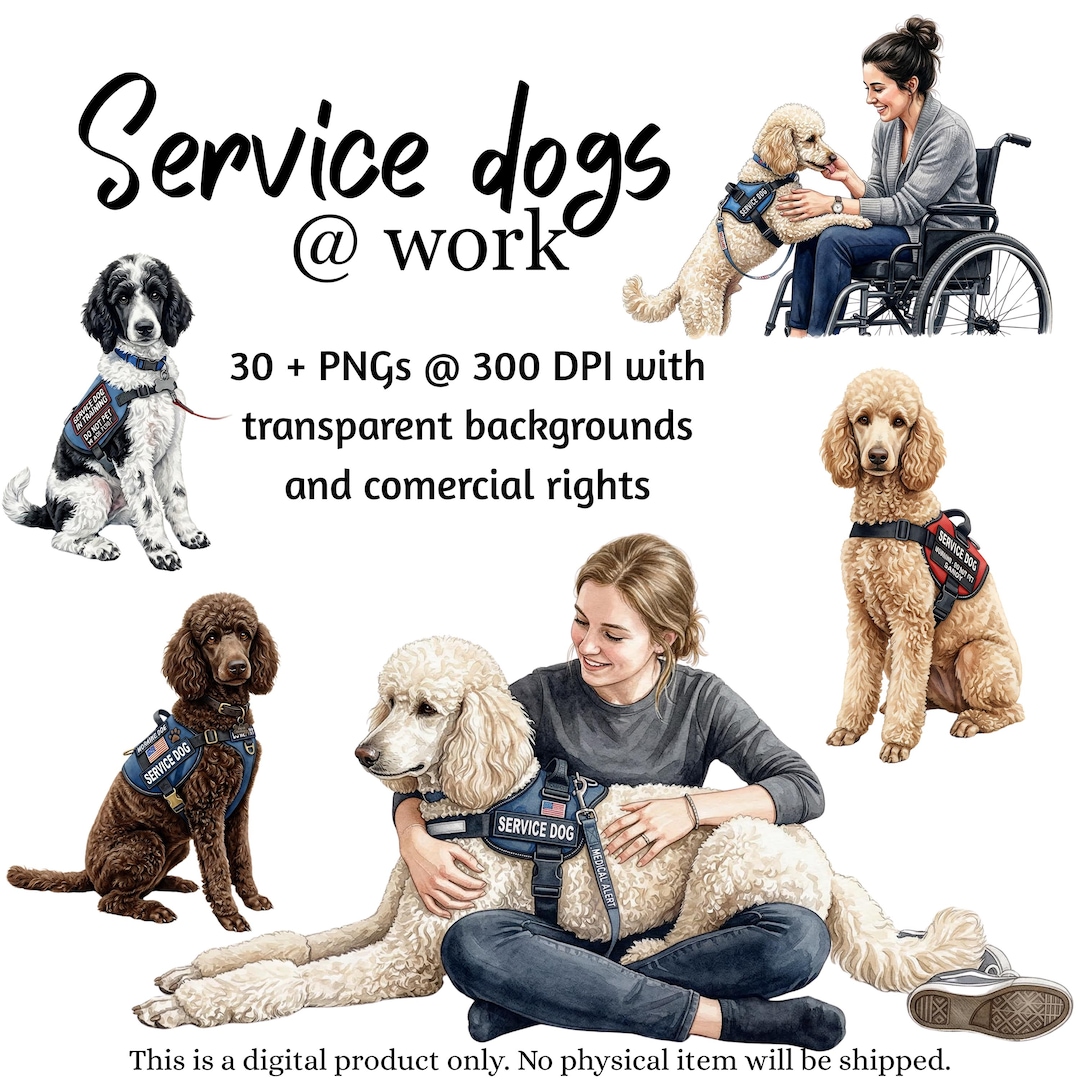 Poodles at Work, Service Dogs Clipart- 300dpi With Transparent ...