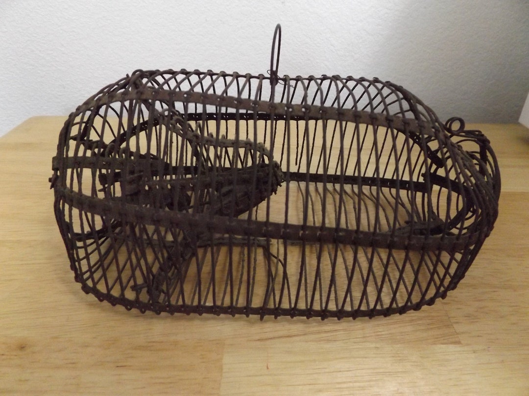 Antique Primitive French Wire Marty Mouse Rat Trap Live Rodent Trap - Etsy