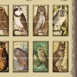Steampunk Victorian Textured Owls With Antique Maps, Scroll and Script ...