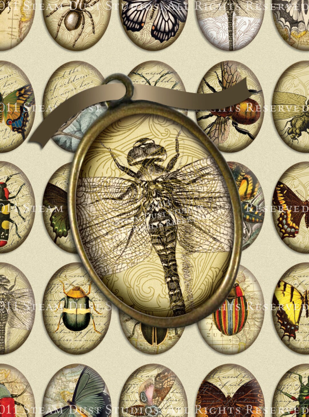 Steampunk Victorian Entomology With Scrolls, Antique Script & Antique ...
