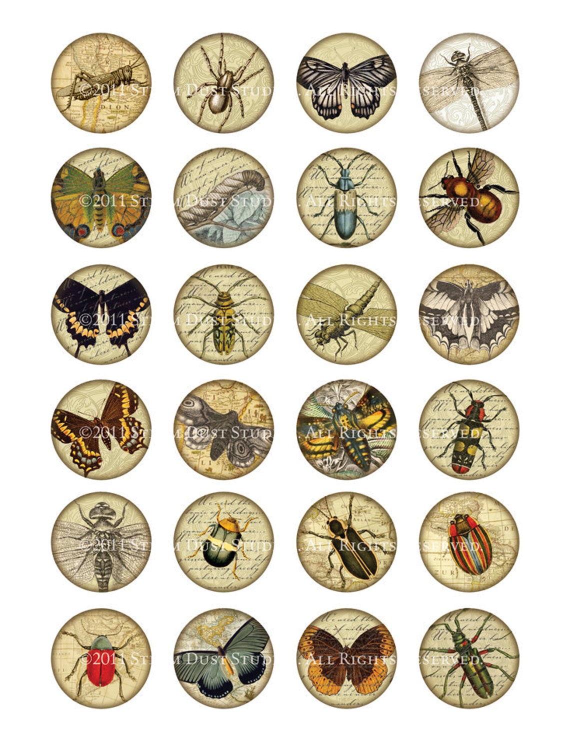 Victorian Entomology - 1-1/2 Inch Circles - Scrolls, Antique Script and ...
