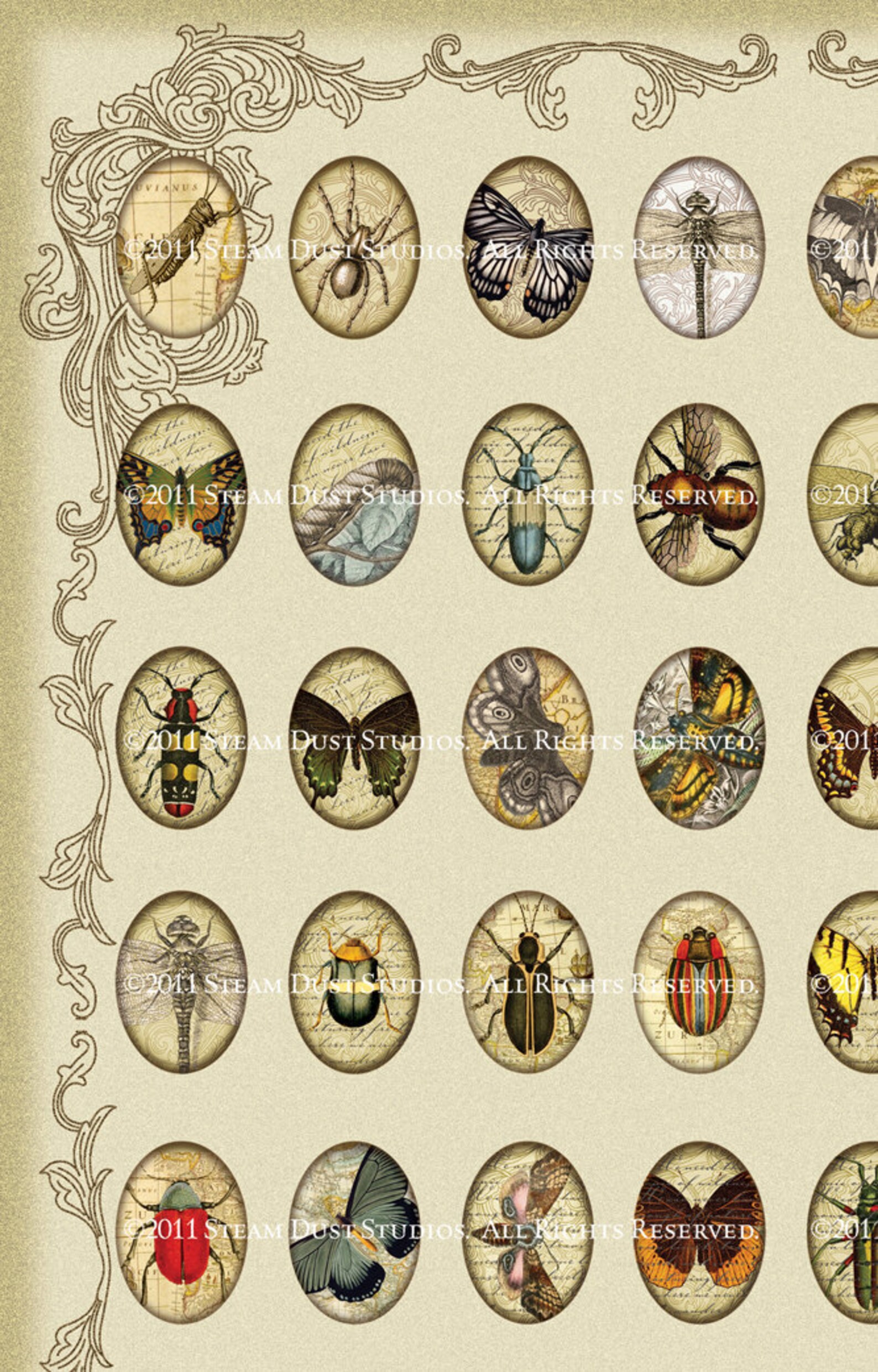 Victorian Entomology With Scrolls, Antique Script and Antique Maps ...
