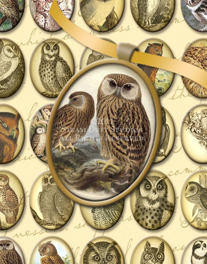 Simply Victorian Owls 30 X 40mm Cameo-size Oval Antique | Etsy