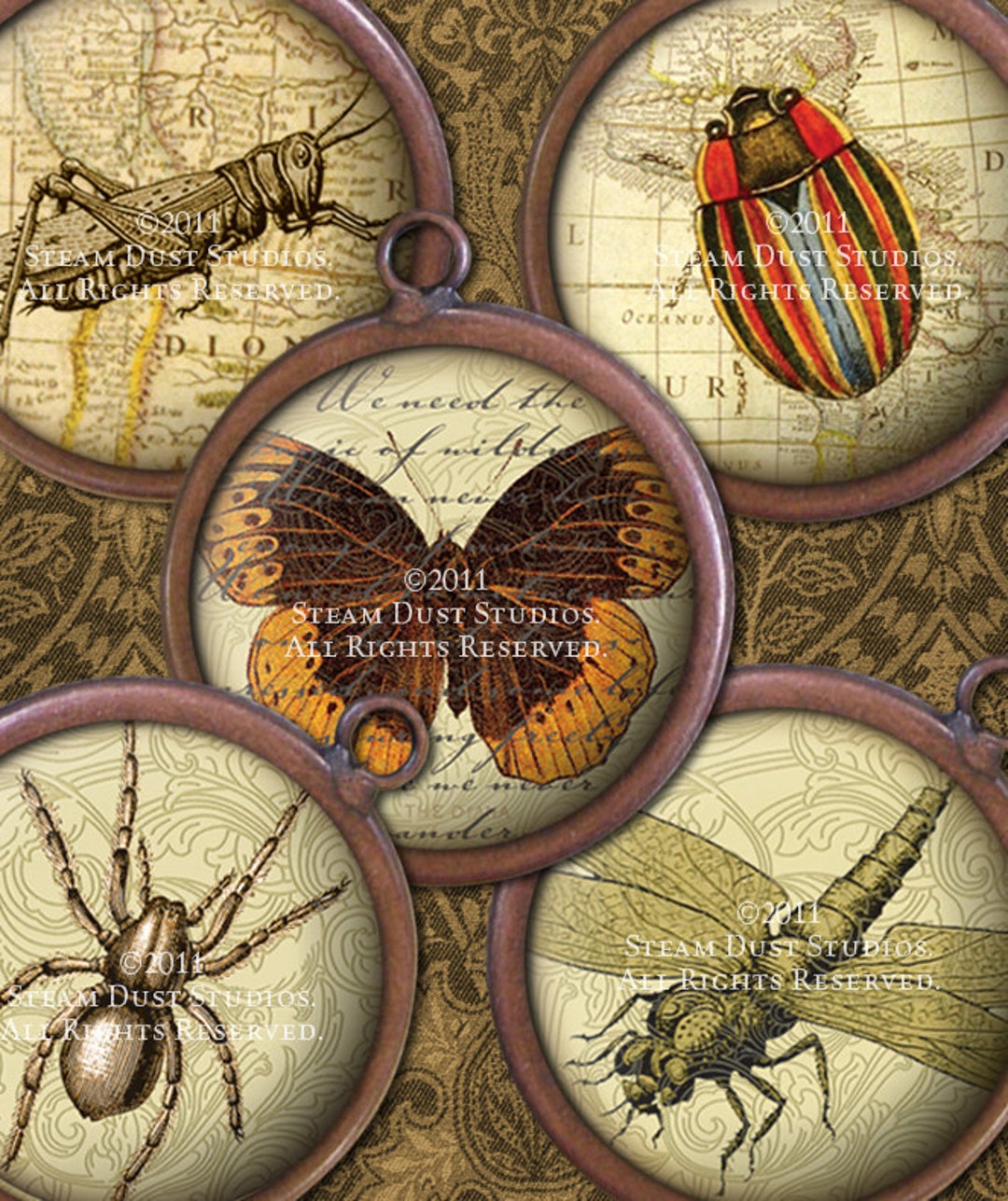Victorian Beetles, Butterflies, Dragonflies, Insects, Digital Insects ...