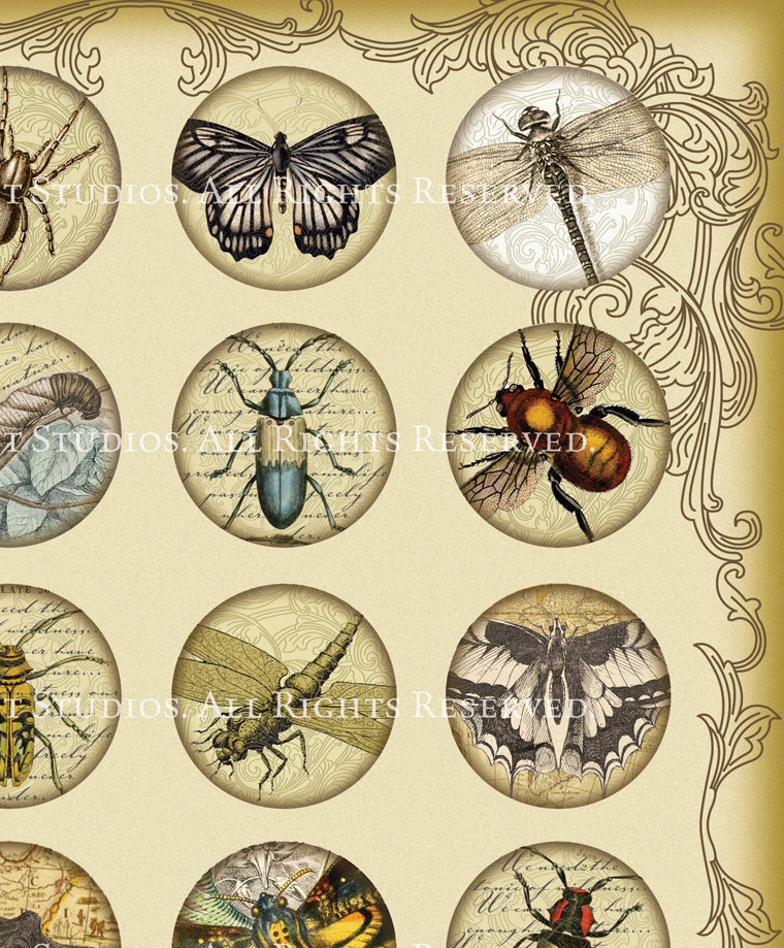 Victorian Entomology - 1-1/2 Inch Circles - Scrolls, Antique Script and ...