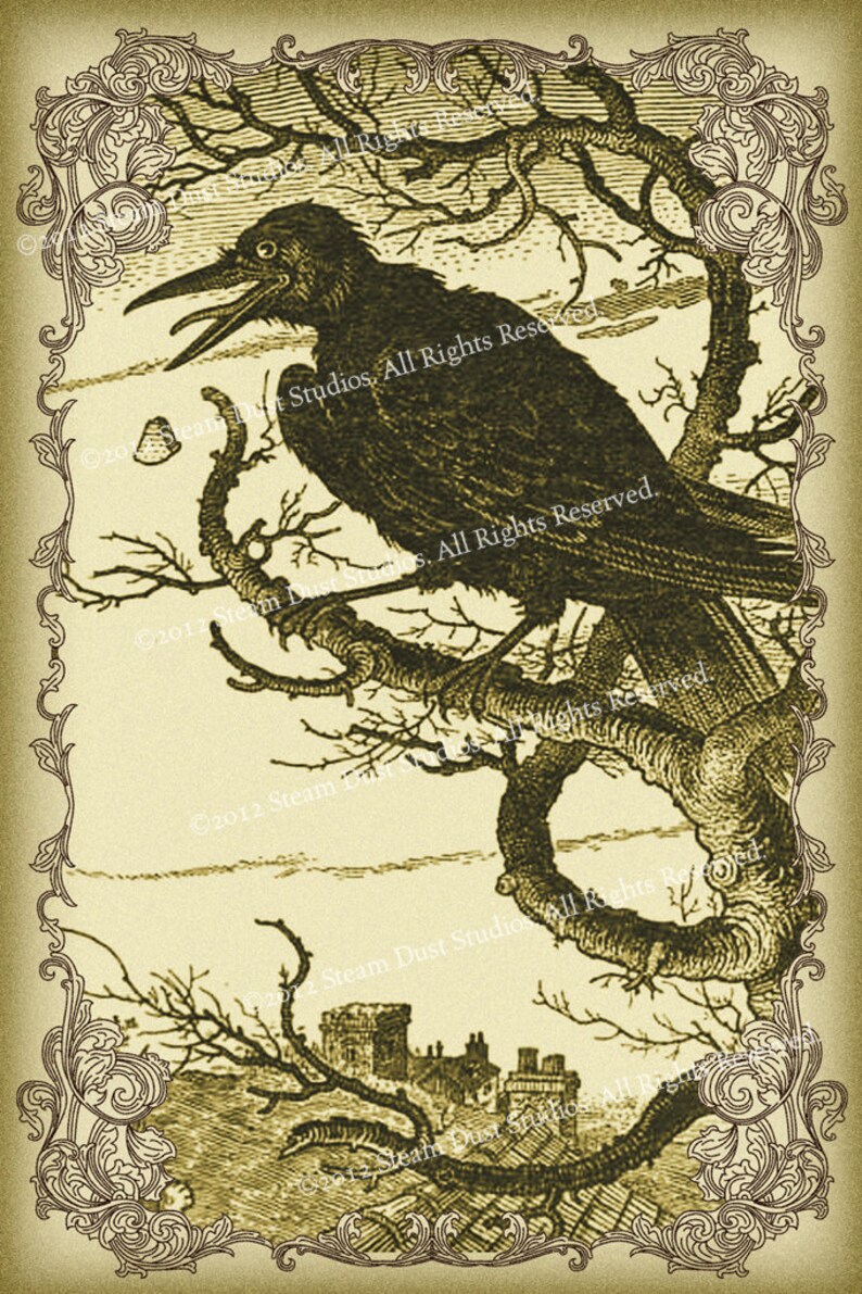 Victorian Goth Antique Raven and Scrollwork 4x6 Inch Single | Etsy