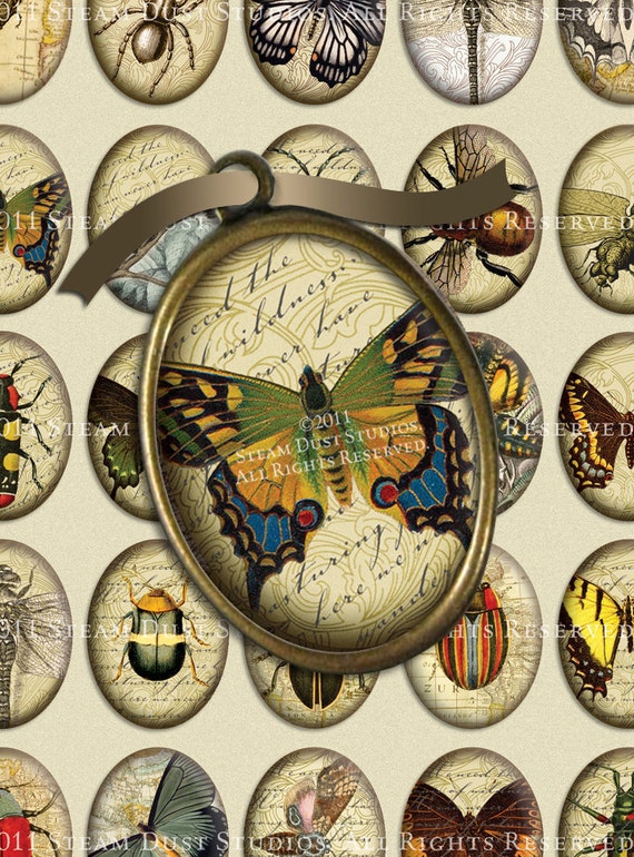 Victorian Entomology With Scrolls Antique Script and Antique | Etsy