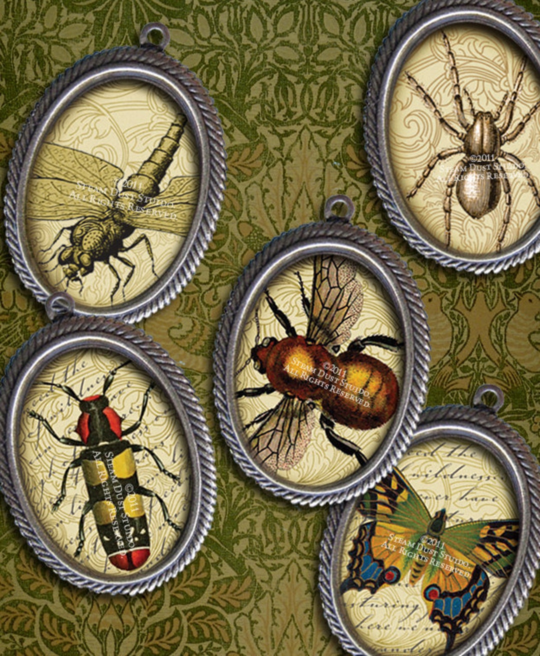 Victorian Entomology With Scrolls, Antique Script and Antique Maps ...