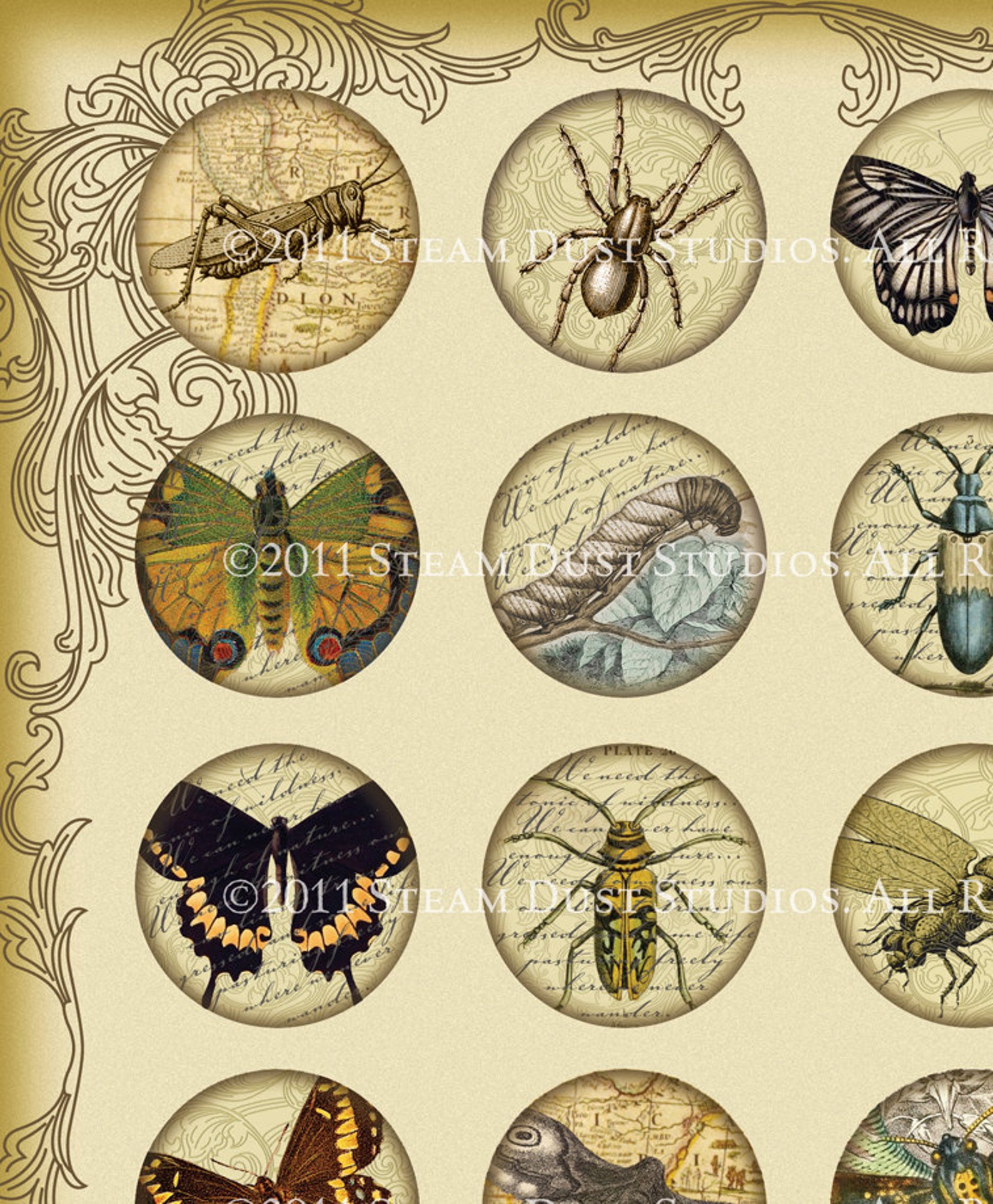 Victorian Entomology - 1-1/2 Inch Circles - Scrolls, Antique Script and ...