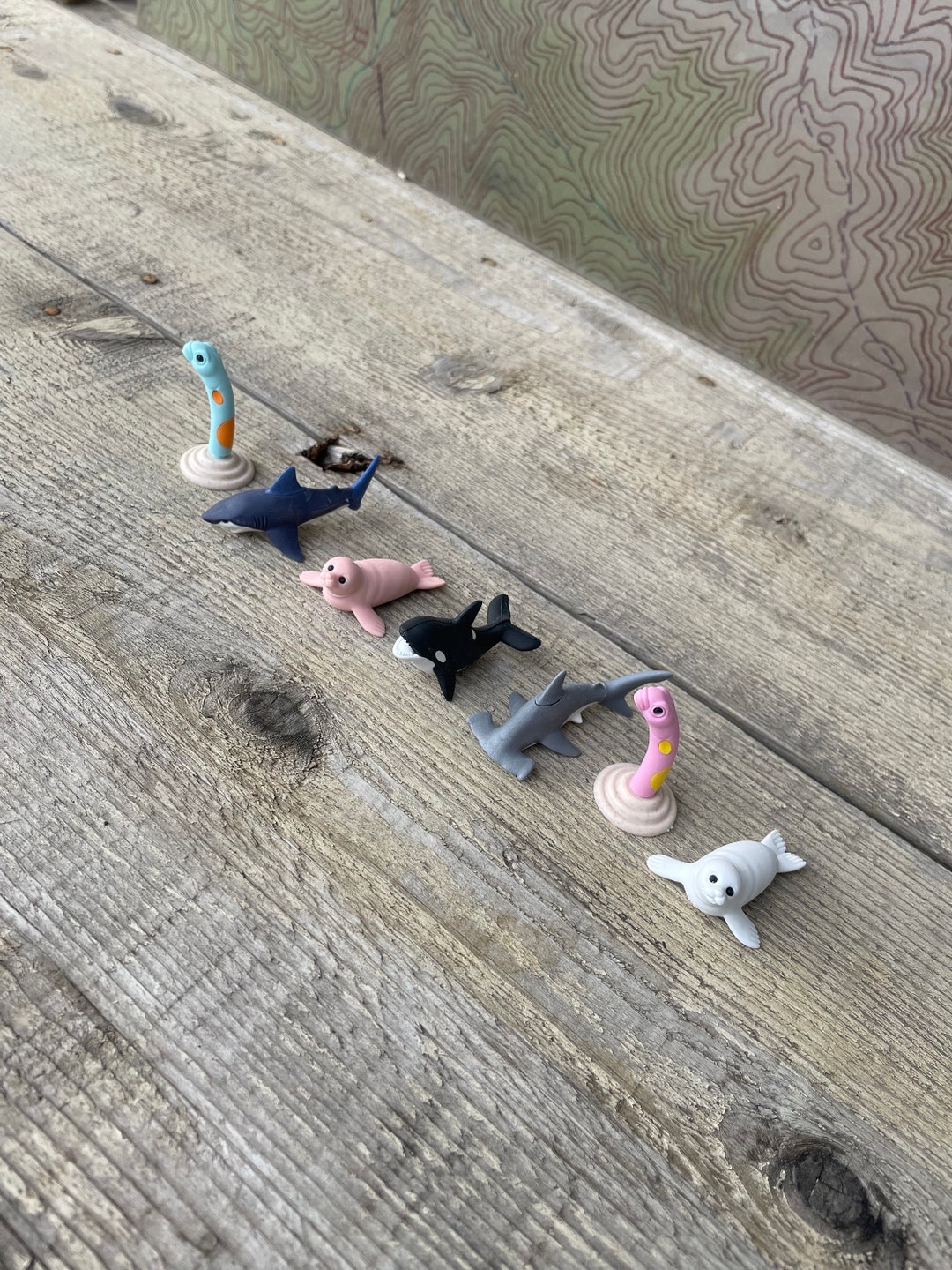 Ocean Mini Eraser Iwako Eraser Set Shark Orca Seal Hammerhead Eel Japan ...