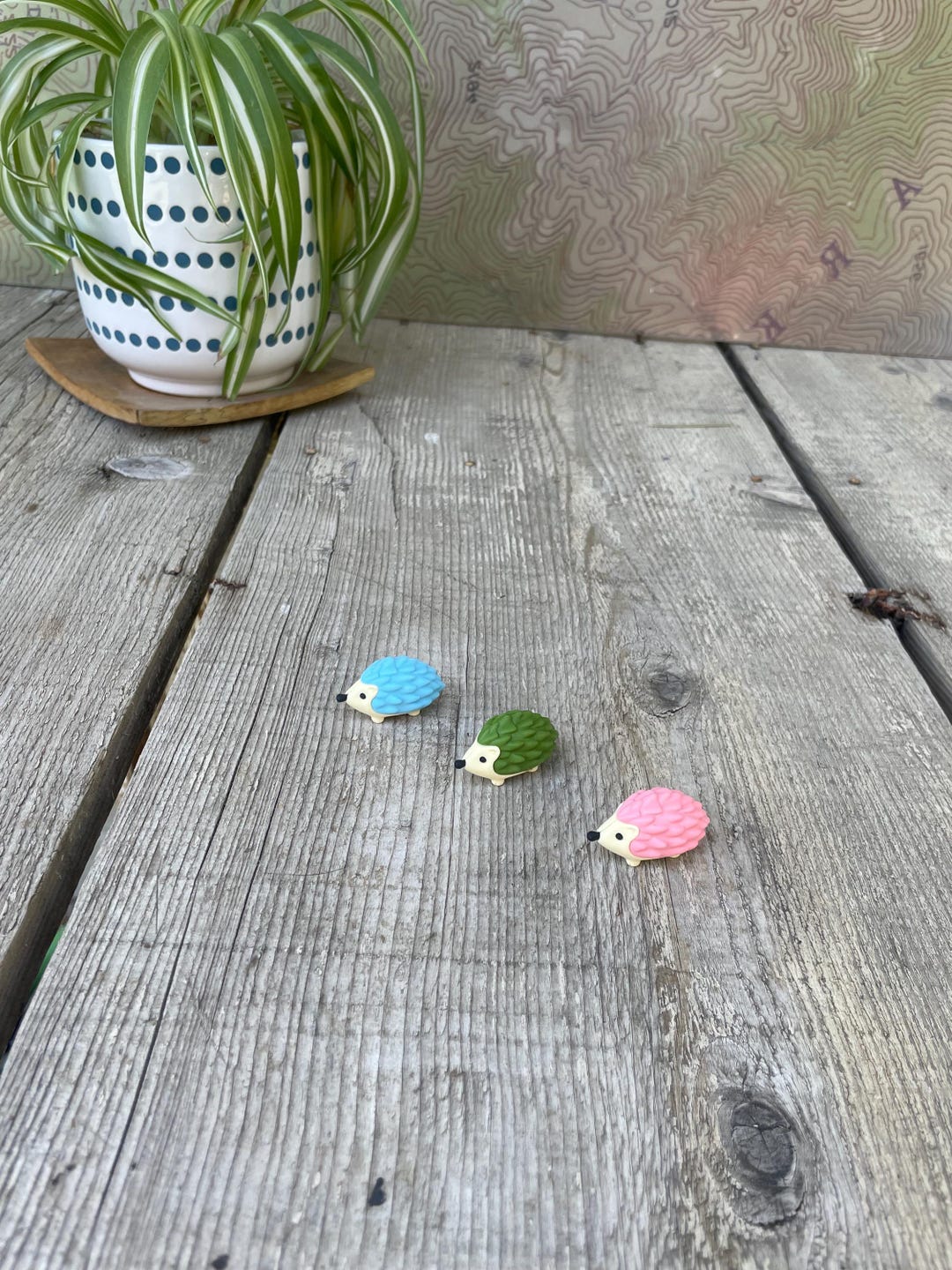 Hedgehog Mini Eraser Forest Mini Eraser Japan Sea Animal Eraser Hedge ...
