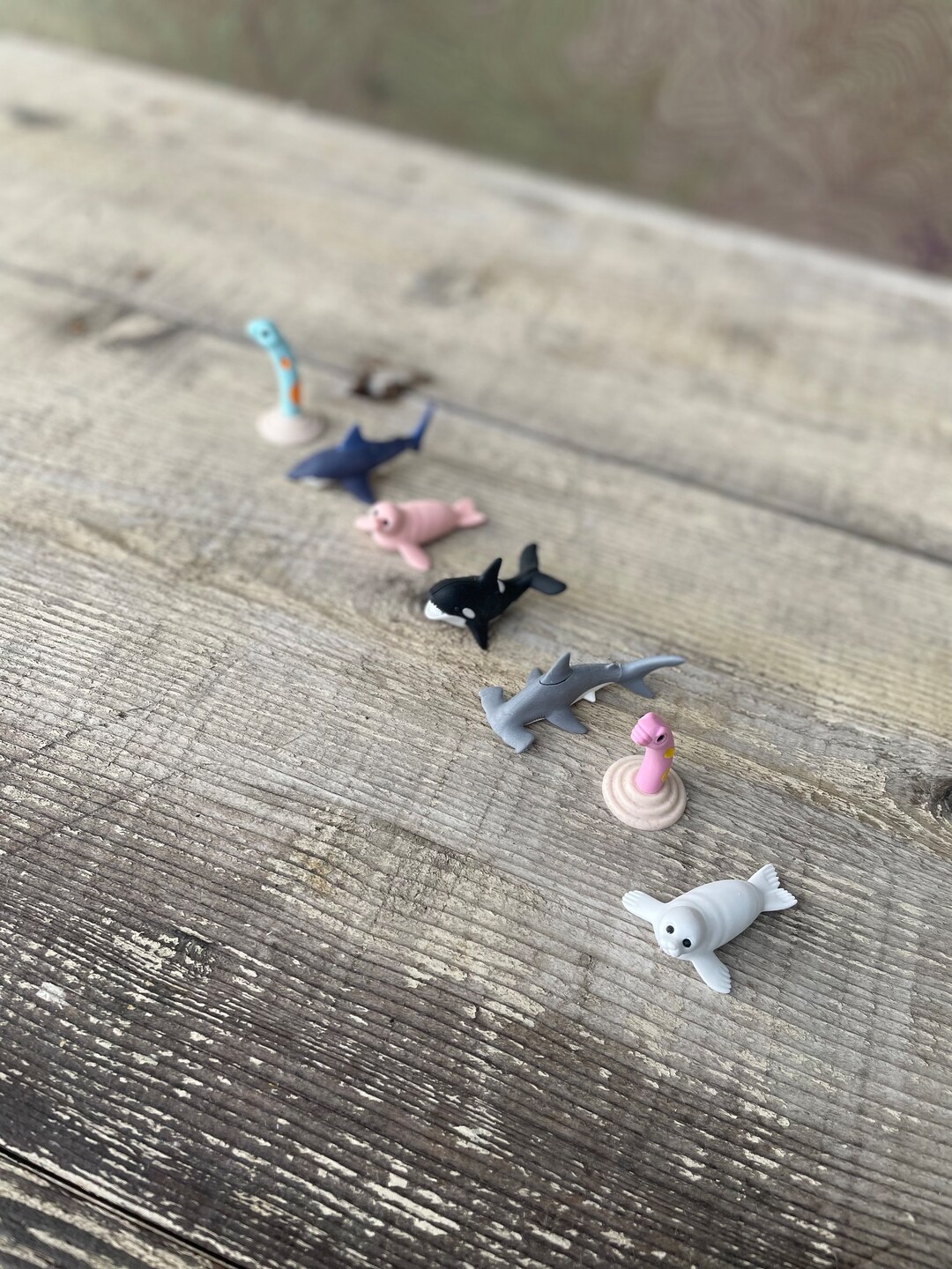 Ocean Mini Eraser Iwako Eraser Set Shark Orca Seal Hammerhead - Etsy