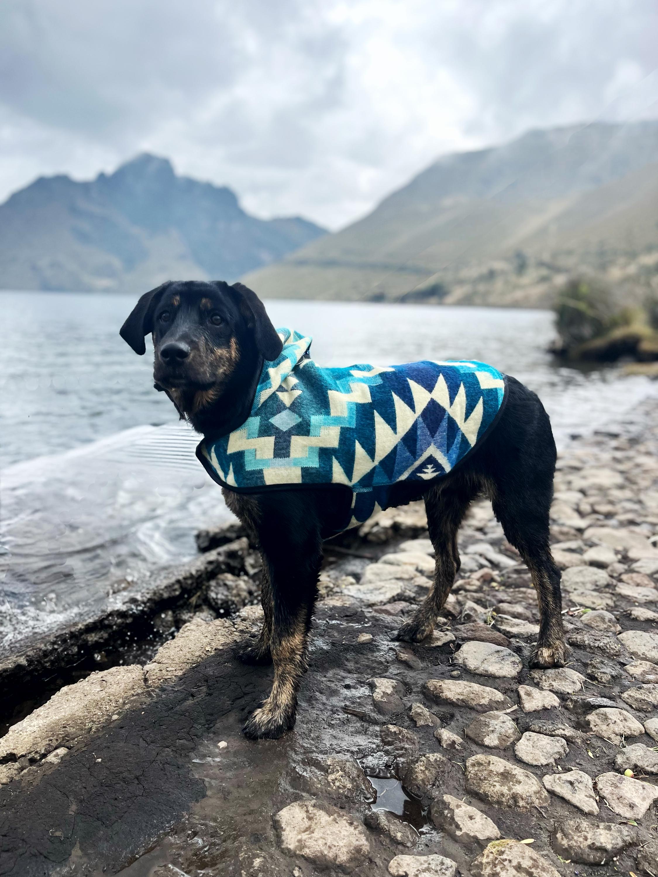 Handmade Pet Poncho With Hood – Native Fleece Coat – Warm Winter ...