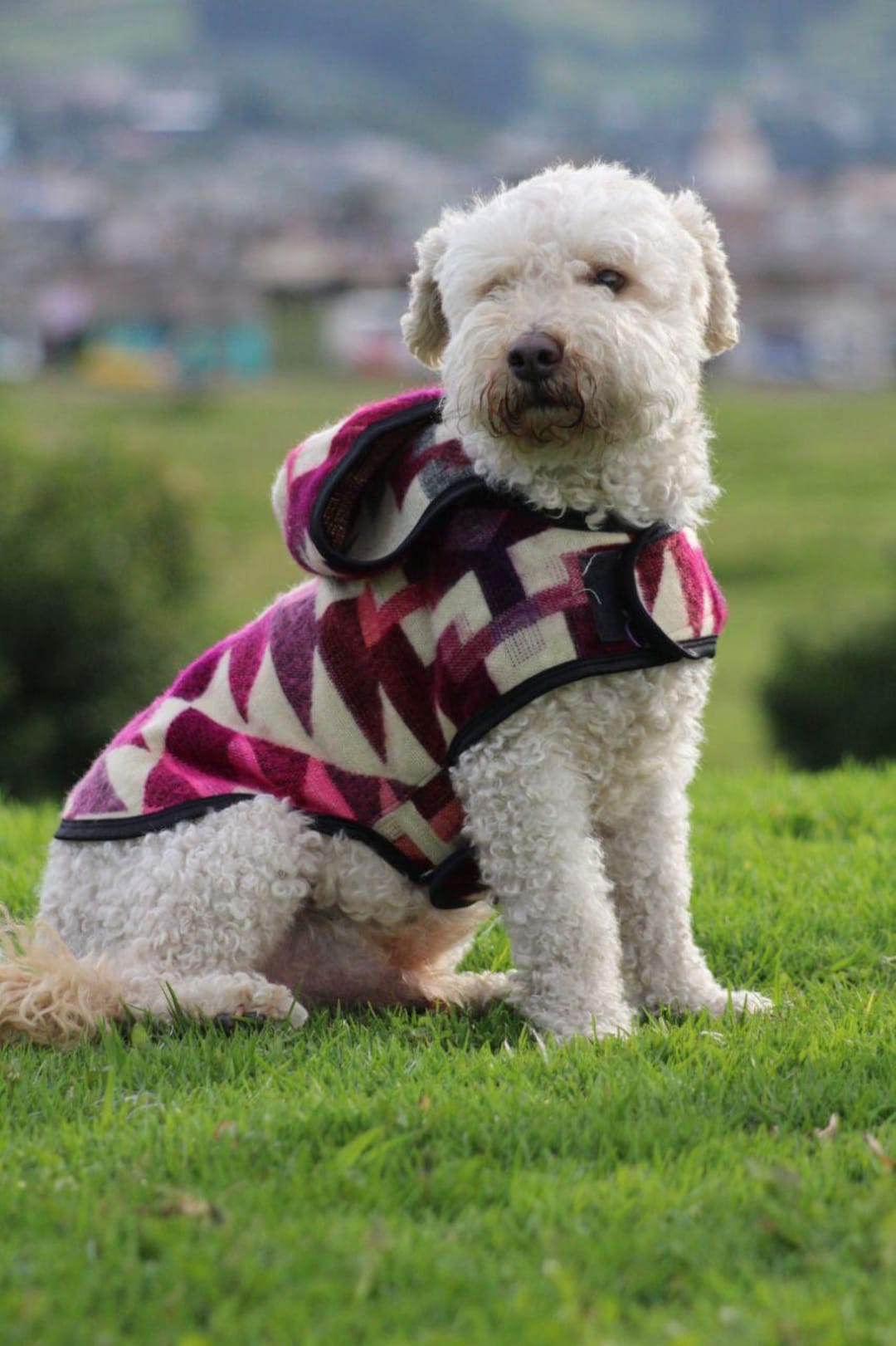 Handmade Pet Poncho With Hood – Native Fleece Coat – Warm Winter ...