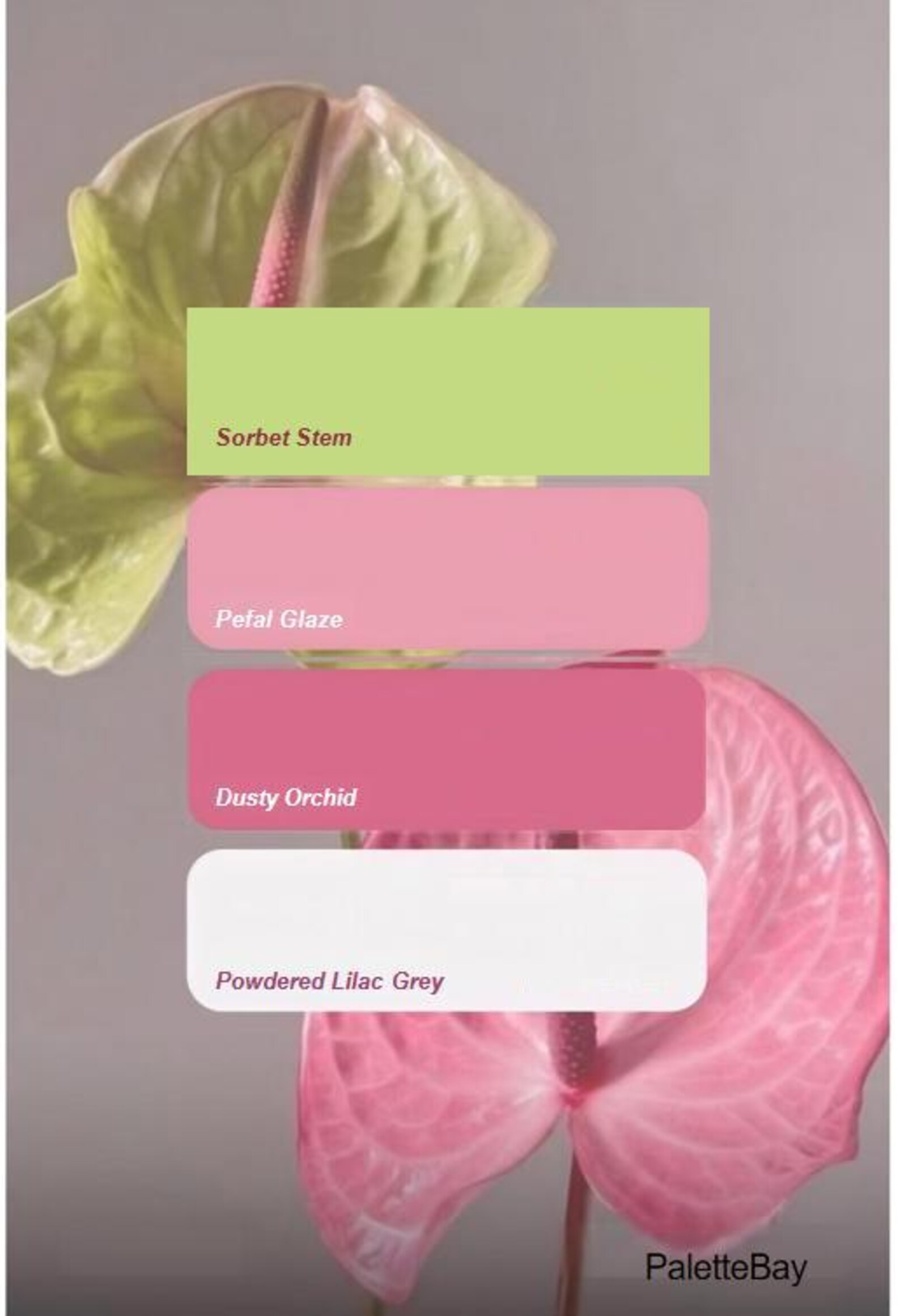Advanced Creative Color Palettes · 5 Theme Schemes · 60 HEX Codes ...
