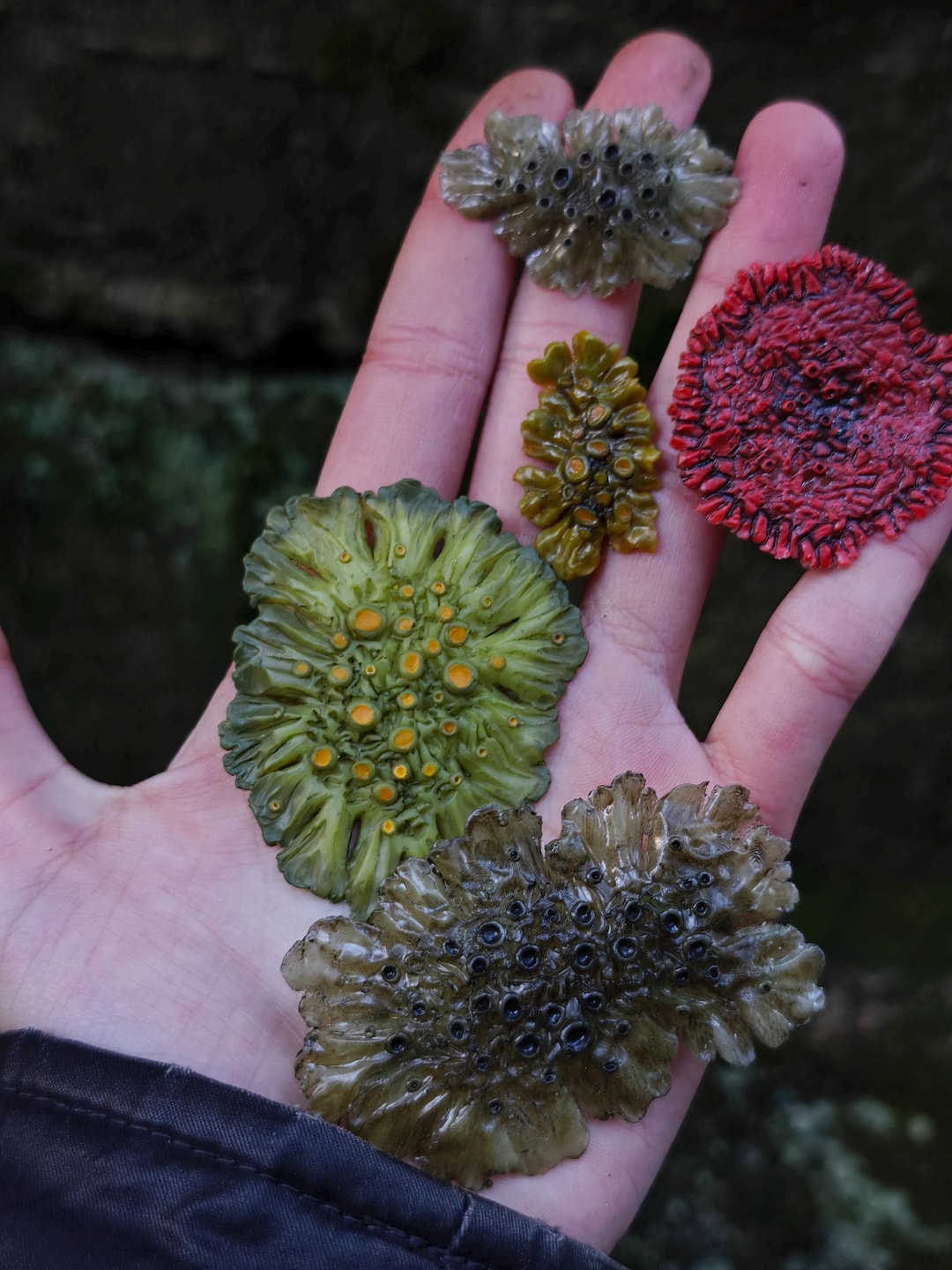 Handmade Realistic Lichen Sculptures – Polymer Clay | Pins or Fridge ...