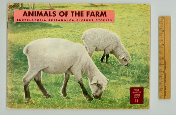 Animals of the Farm 1946 Encyclopedia Britannica Picture | Etsy