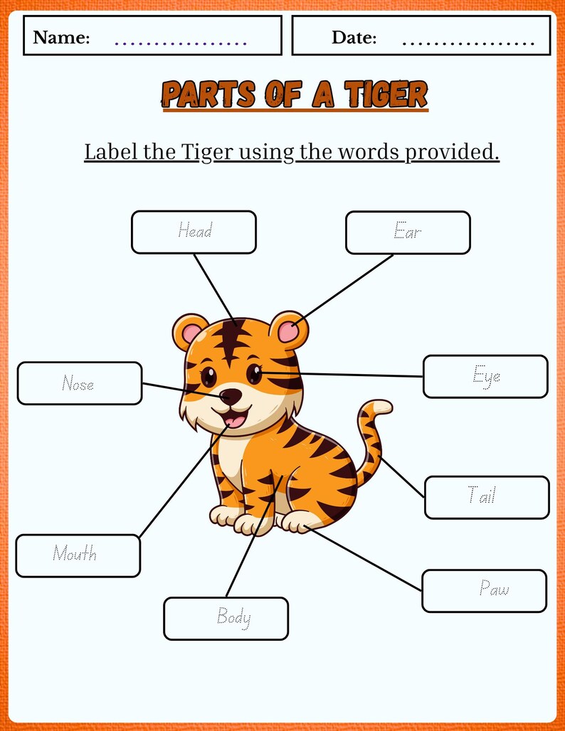 Parts of a Tiger Printable Worksheets | Preschool & Kindergarten ...